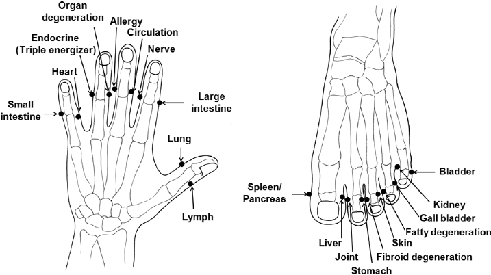 Electrodermal Screening (EDS) - Natural Therapies